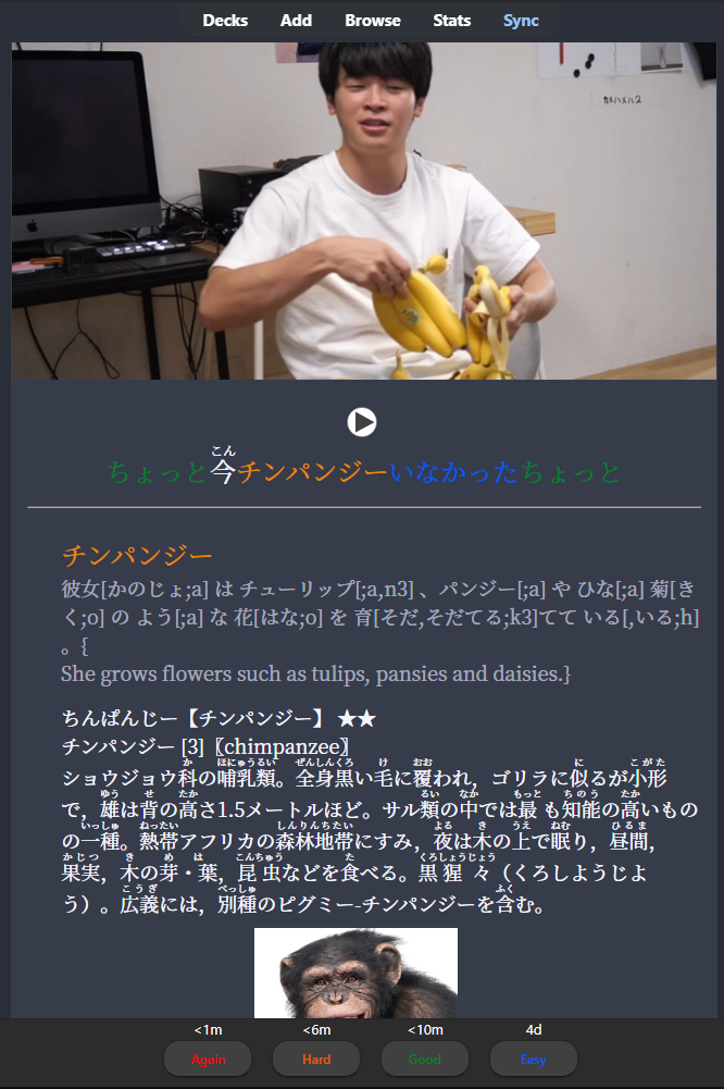 My Top Anki Tips From 8 Years of Language Learning – BritVSJapan